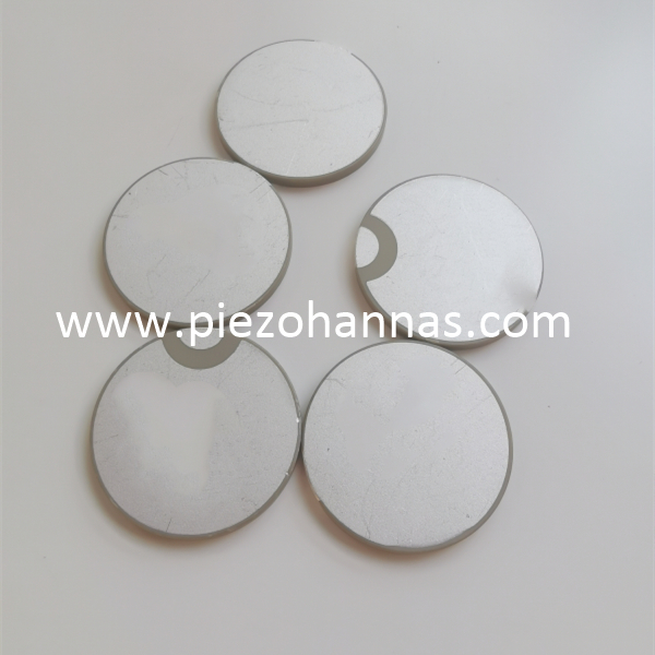 Custom Piezoelectric Disk Transducer for Non-destructive Testing from ...