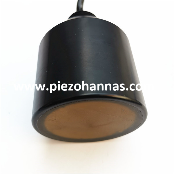 Dual Frequency Underwater Ultrasonic Transducer for Ultrasonic ... Dual Frequency Underwater Ultrasonic Transducer for Ultrasonic ...