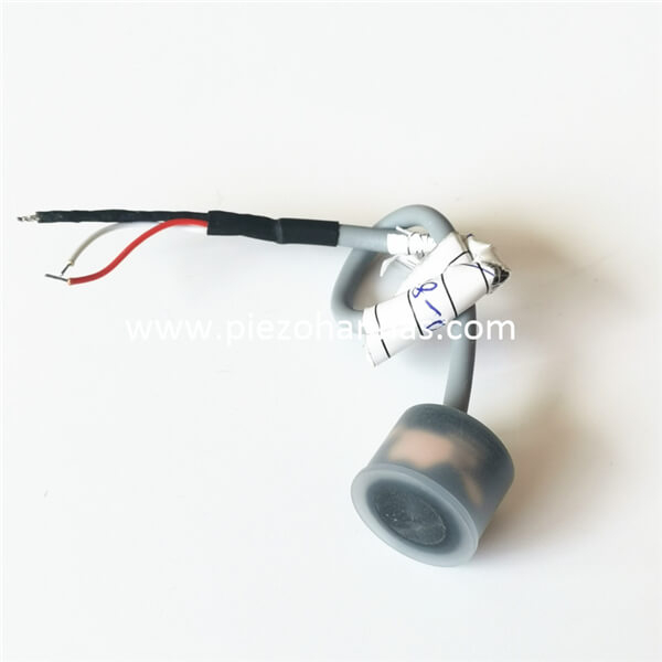 Custom PVDF Housing Piezoelectric Ultrasonic Transducer for Ultrasonic ...